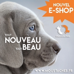 Moustaches - Le comptoir des chiens et chats